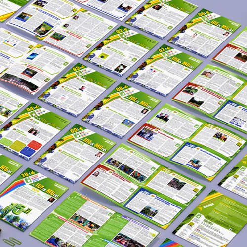 IDEMU : Flyer – VOCANSON PROD